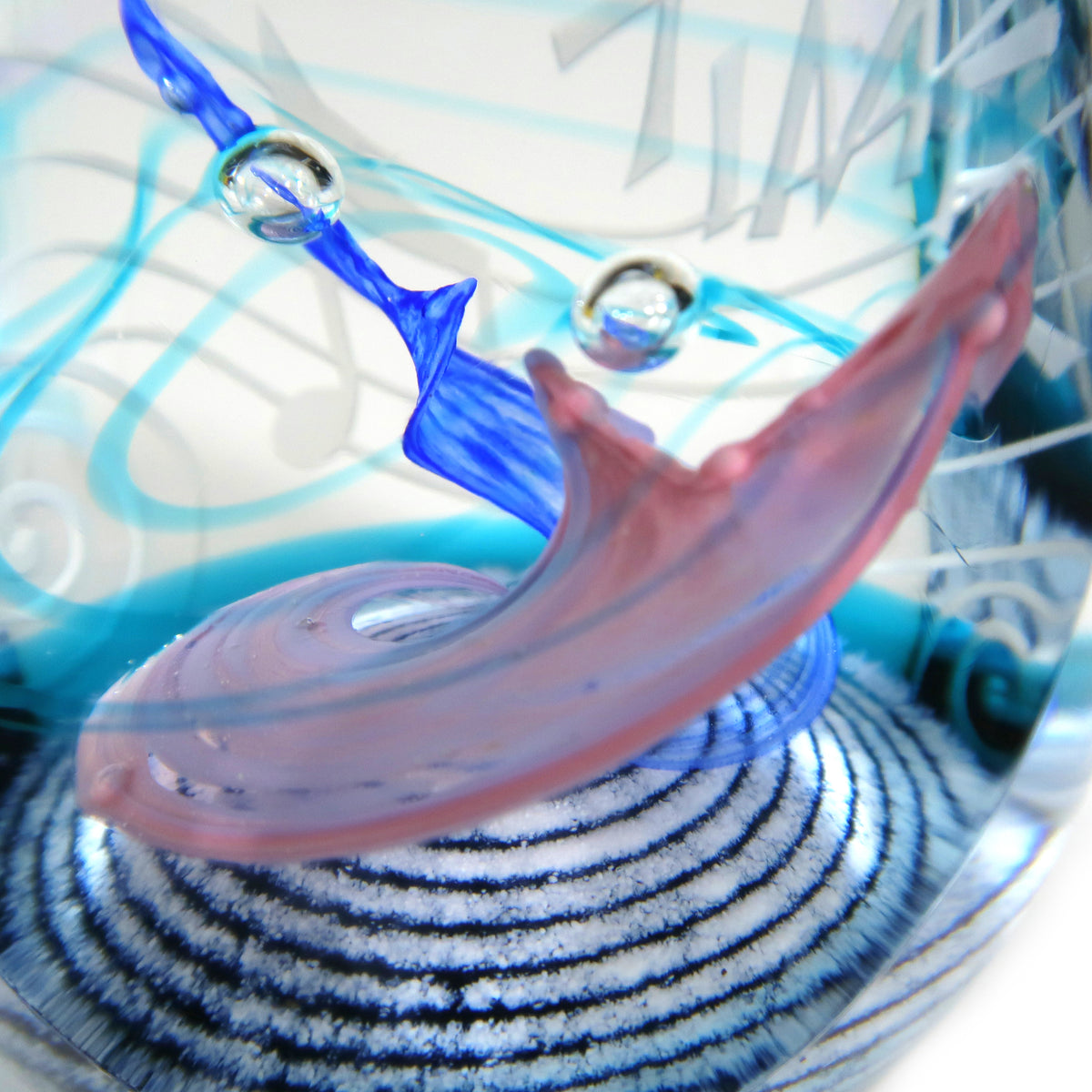 Jive Time – TAR LABORATORY WEB_STORE